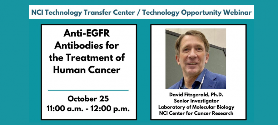 NCI Technology Opportunity Webinar: Anti-EGFR Antibodies for the ... NCI Technology Opportunity Webinar: Anti-EGFR Antibodies for the ...